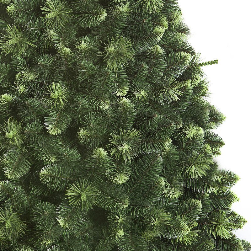Next Day │ Young Pine Christmas Tree - 5ft to 8ft, Lush Green, Easy ...